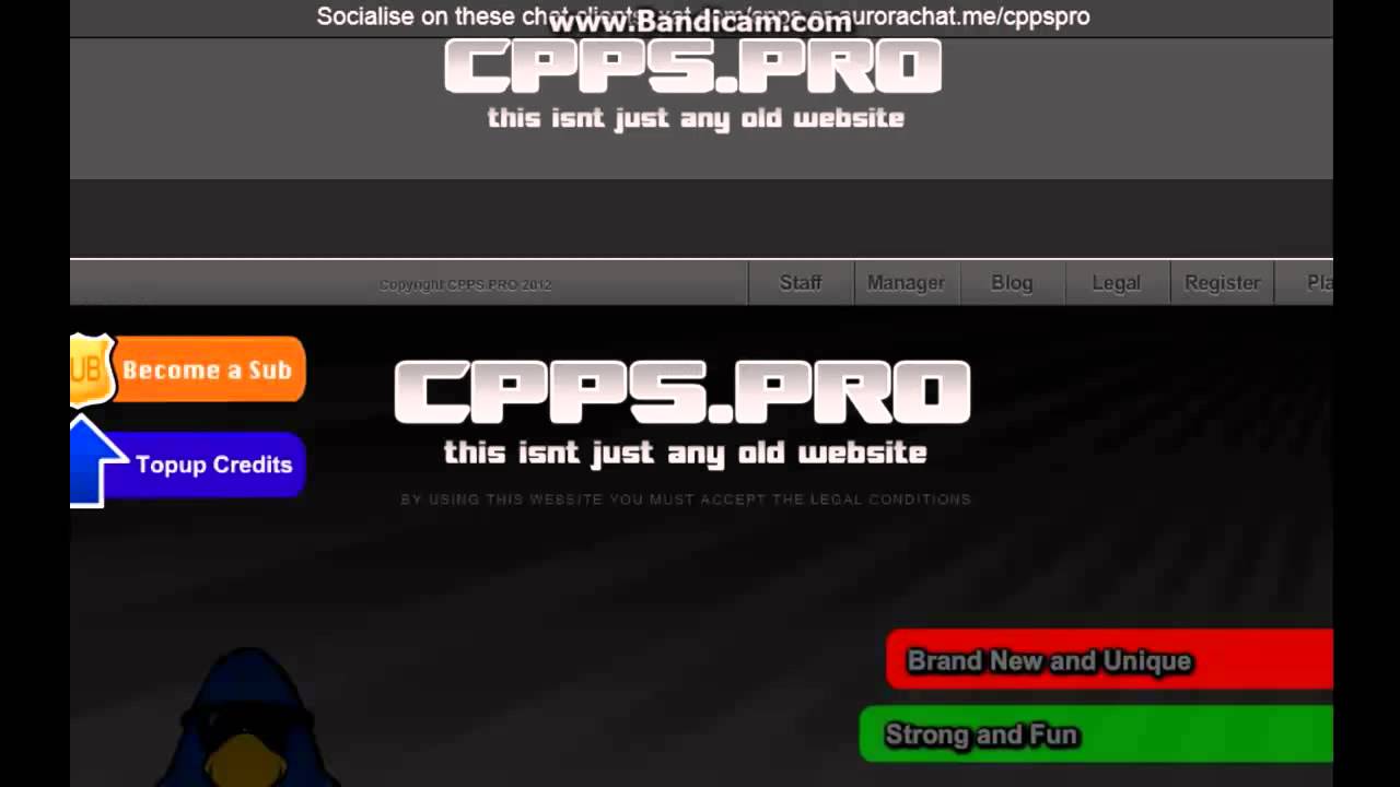 How To Get A Rainbow Puffle On CPPS.PRO - YouTube