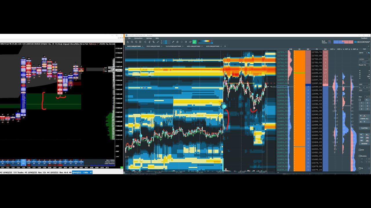 𝐋𝐞 𝐬𝐜𝐚𝐥𝐩𝐢𝐧𝐠 𝐜𝐨𝐧𝐭𝐫𝐚𝐫𝐢𝐞𝐧 𝐞𝐬𝐭 -𝐢𝐥 𝐩𝐨𝐮𝐫 𝐥𝐞𝐬 𝐟𝐨𝐮𝐬 ? 🤪🤪🤪 - YouTube
