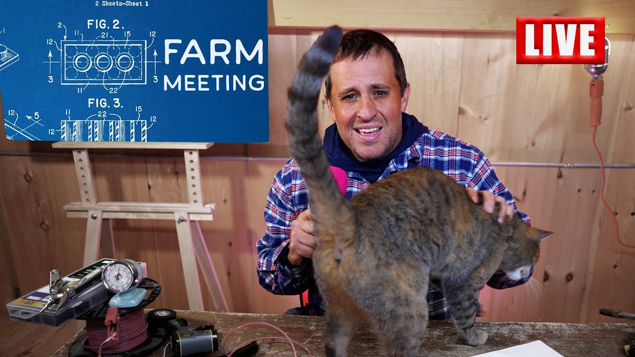 New Animals, New Project: June Farm Meeting - YouTube