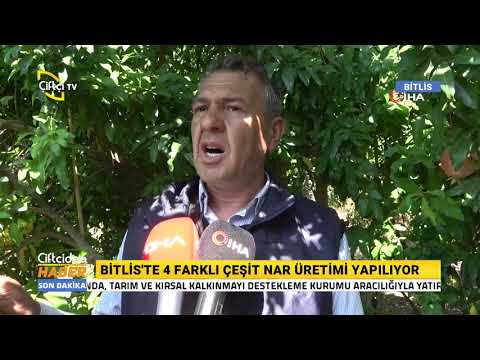 Bitlis'te 4 Farklı Çeşit Nar Üretimi Yapılıyor
