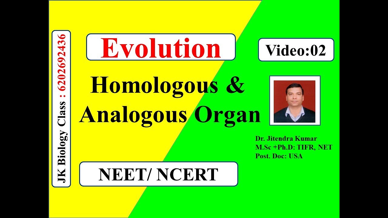 Homologous Analogous Organs Difference Dr Jitendra Kumar NEET Homologous Analogous Organs Difference Dr Jitendra Kumar NEET