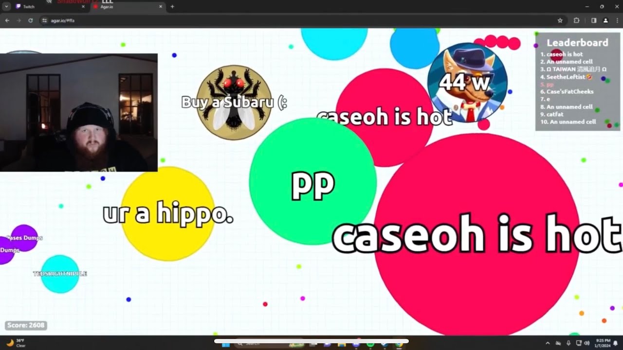 Caseoh tries to get first place in agario - YouTube