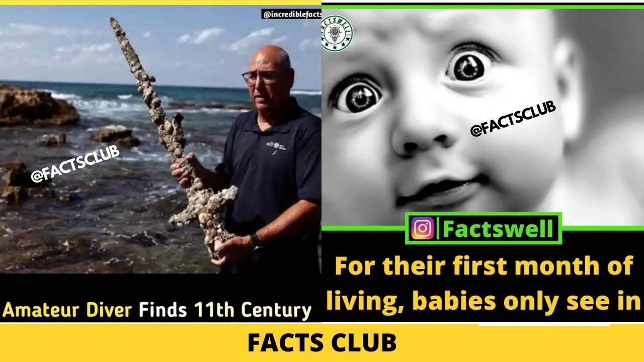 Amazing Facts No One Knows Interesting Facts Did You Know YouTube amazing-facts-no-one-knows-interesting-facts-did-you-know-youtube