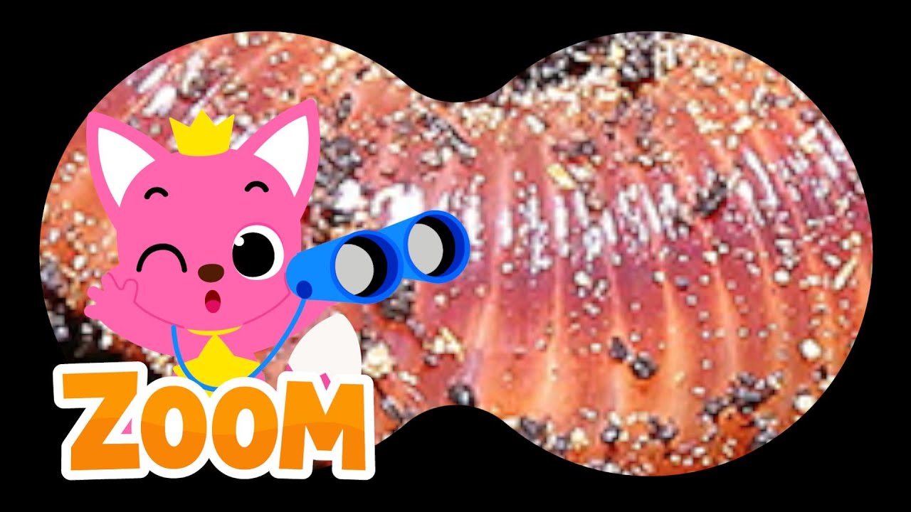 Bugs Puzzle with Pinkfong | Guess the Bugs | Zoom Zoom Zoom | Learn ...