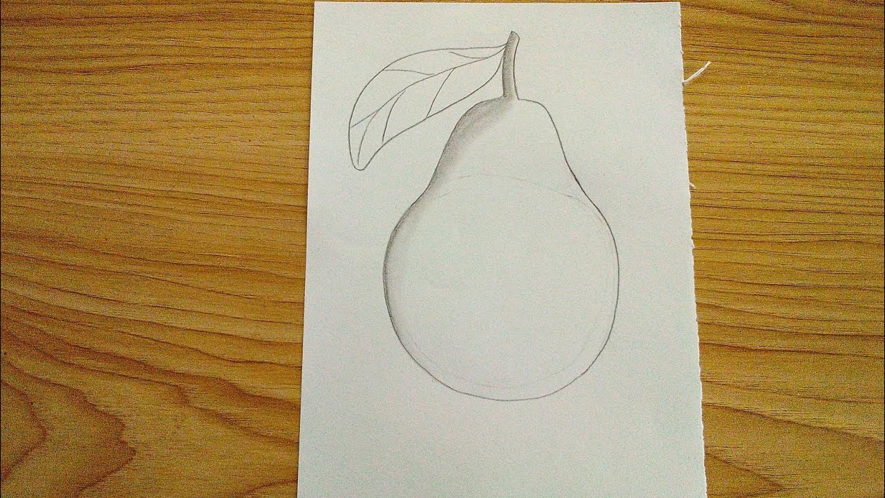 How to draw Guava Fruit drawing with pencil sketch / Fruit drawing step ...