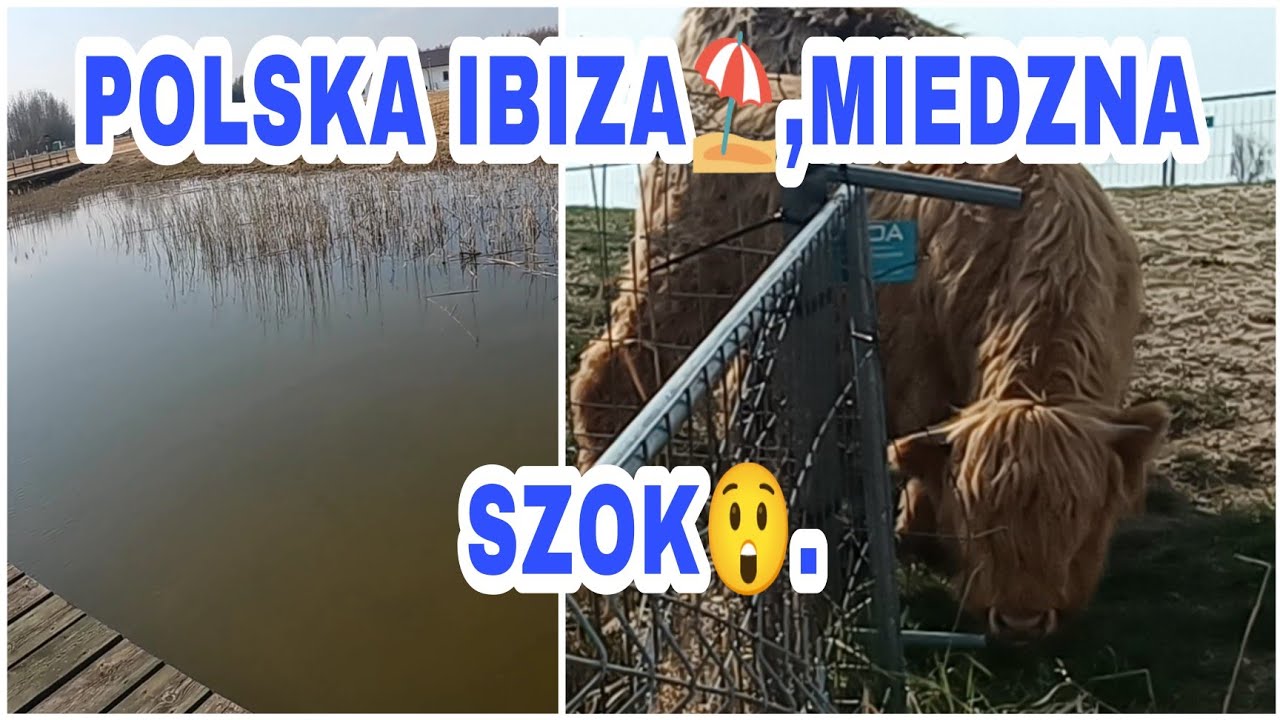 Plaża w Miedzna Murowana zaorana😅🚜,Polska Ibiza⛱️ piękna,lecimy dalej🛩️ ...