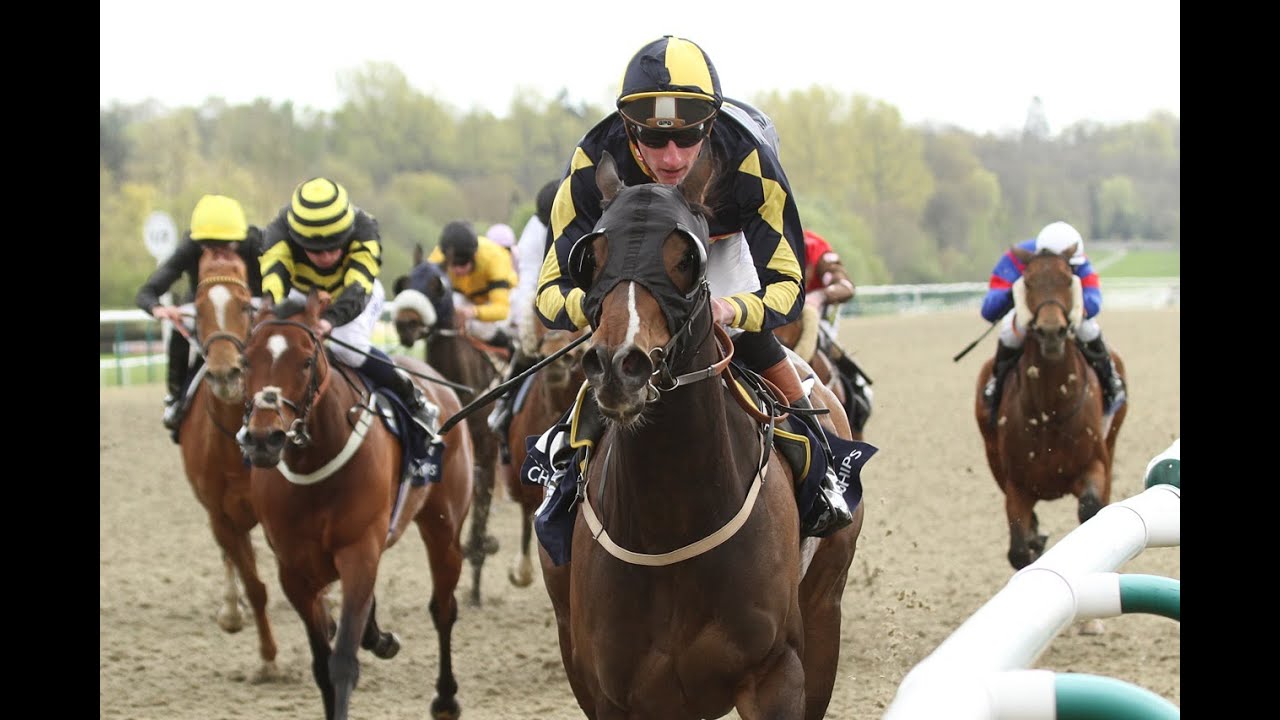 Living the Life AW Champion 2014 Lingfield park UK - YouTube