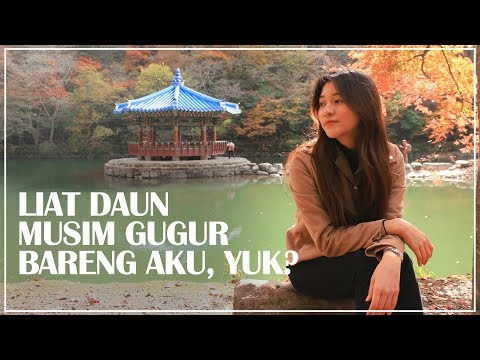 VLOG : THE BEAUTY OF AUTUMN IN KOREA – NAEJANGSAN! | AMELICANO