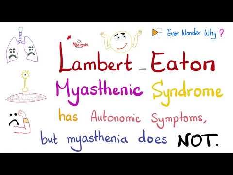 Myasthenia Gravis vs Lambert Eaton Myasthenic Syndrome (LEMS) - Muscle Weakness, Autonomic ...