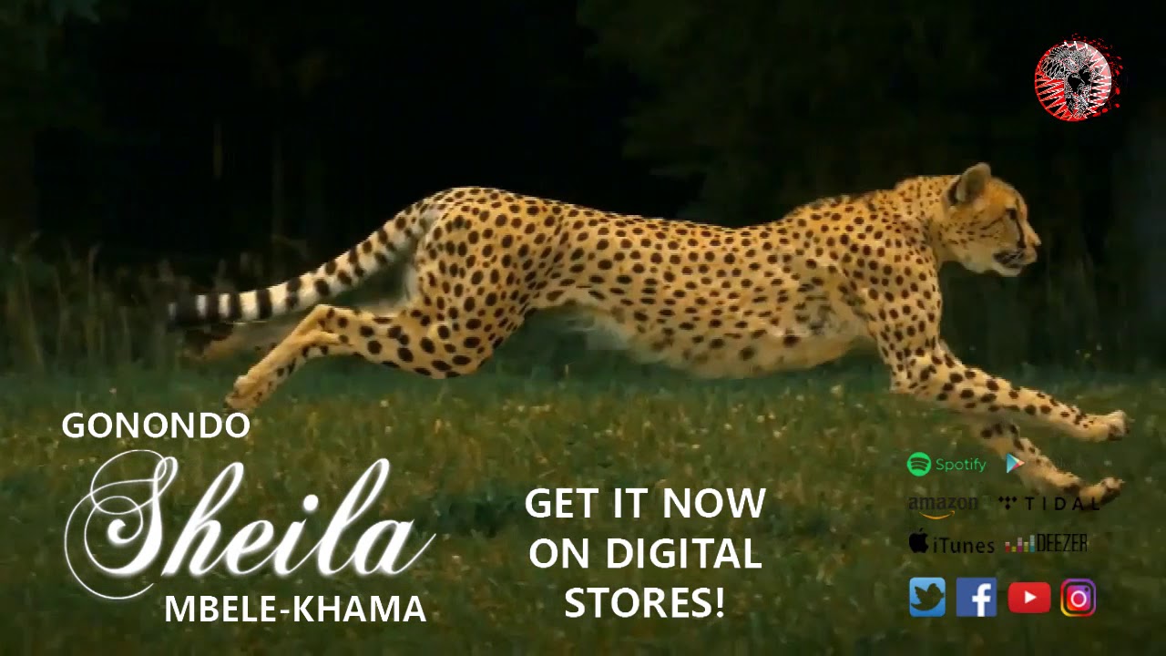 Ingwe Emabala - Ancestral Shamanic Chant - YouTube