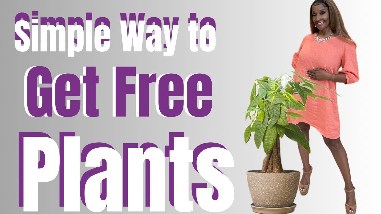 Simple Way to Get FREE Houseplants | No Cost - YouTube