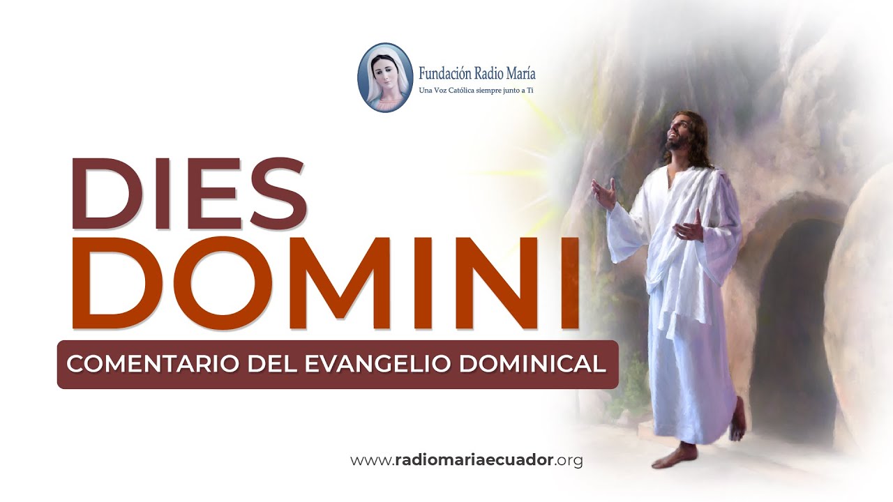 📖🙏 Reflexiones del Evangelio: 2 de noviembre de 2025 - Inspiración ...