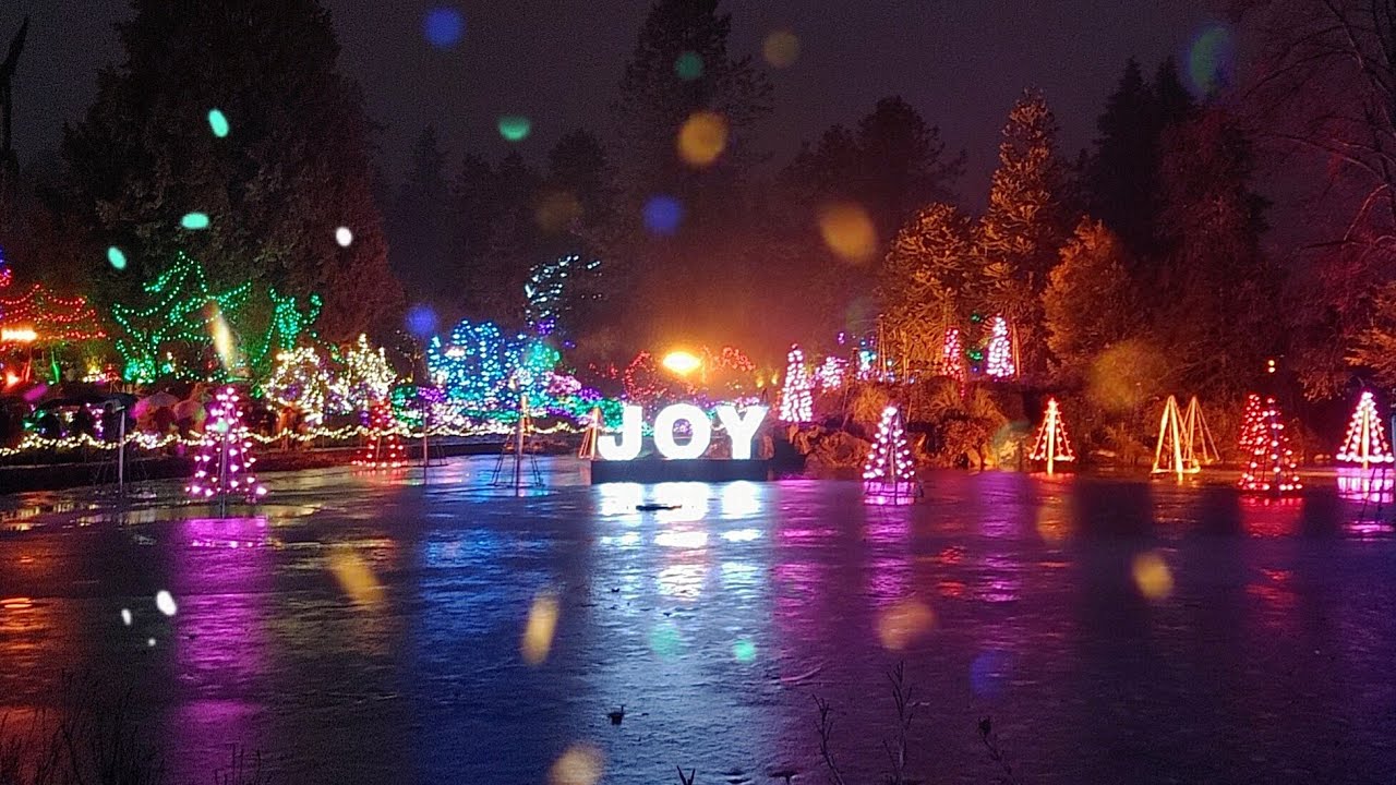 Full of light, at 2022 VFOL - YouTube