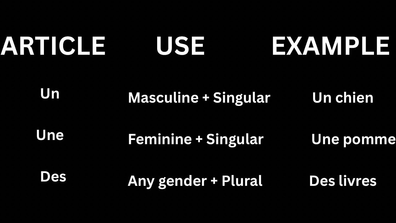 Un, Une, Des in French | How to Say A, An, Some in French (Beginner ...