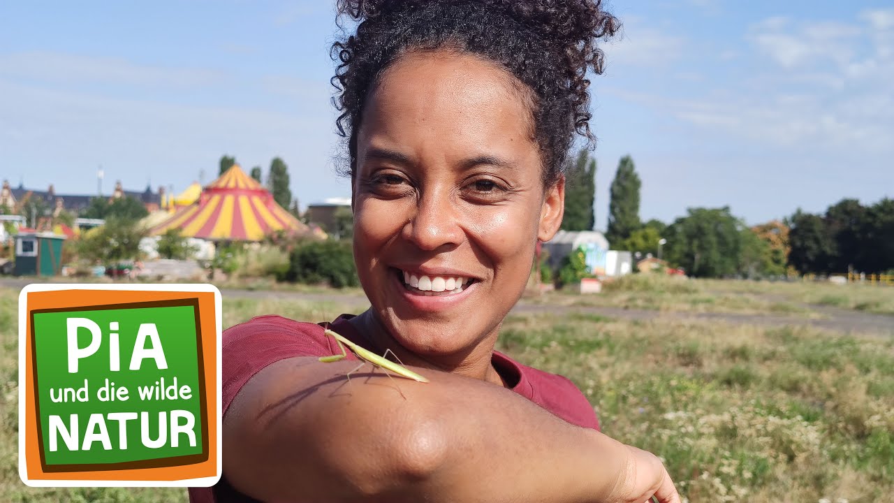 Überraschungen im Trockenrasen |Reportage für Kinder | Pia und die ...