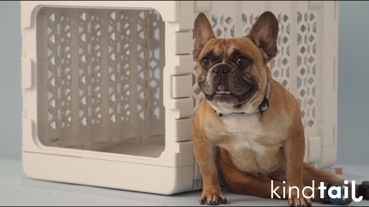 KindTail Be Kind Campaign - PAWD Collapsible Pet Crate - YouTube