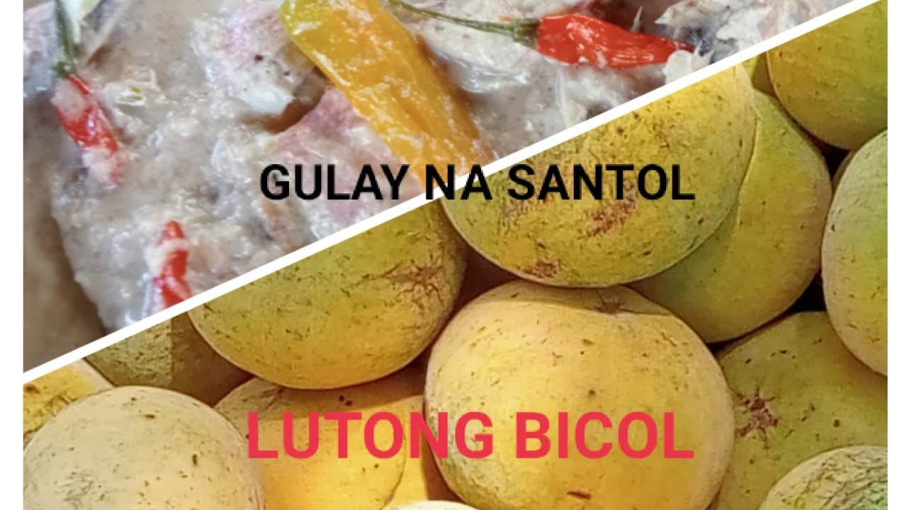 PAG GULAY NA SANTOL/ LUTONG BICOL, PART 1 - YouTube