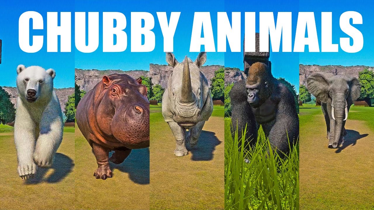 Chubby Animals Speed Races in Planet Zoo included Gorilla, Hippopotamus, Polar Bear, Elephant ...