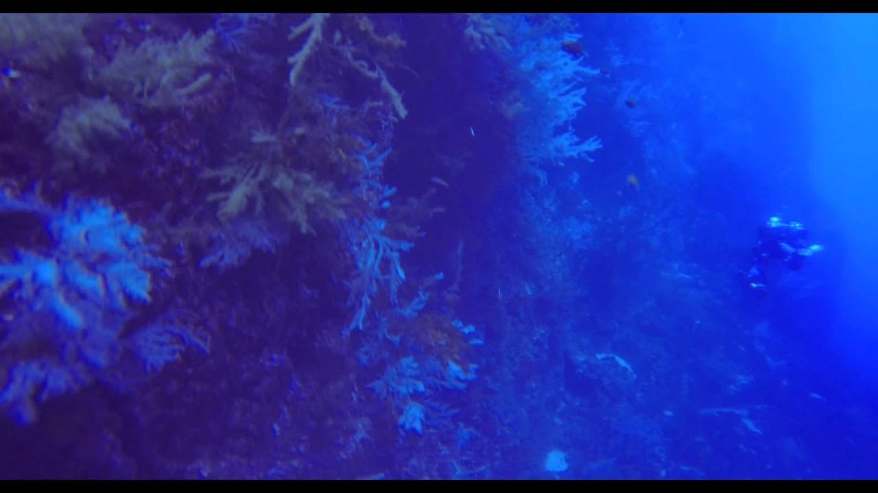 Ilheus dos Formigas June 30 - Azores - Wall Descent Documentation - YouTube