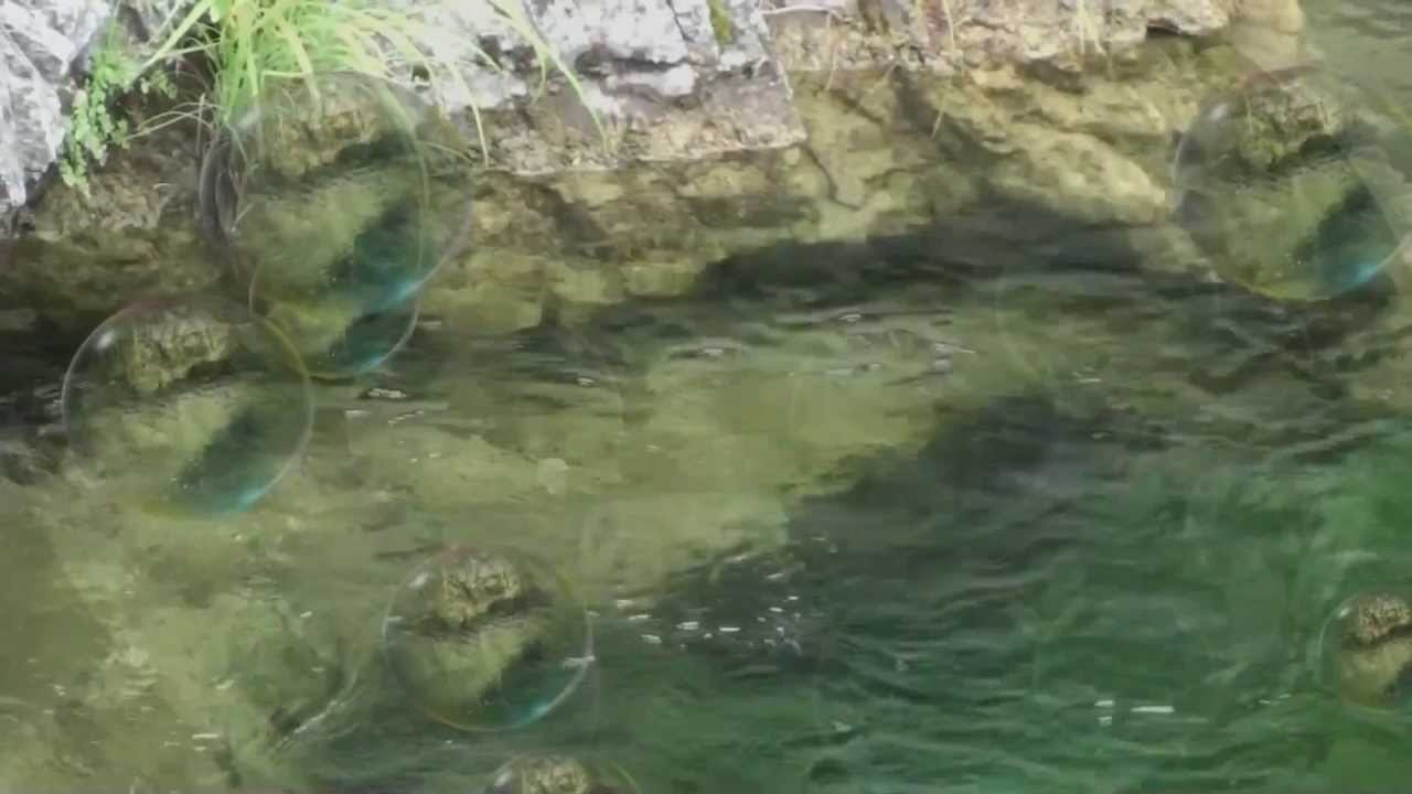 Aime moi (Amami) Claude Barzotti lyrics - YouTube