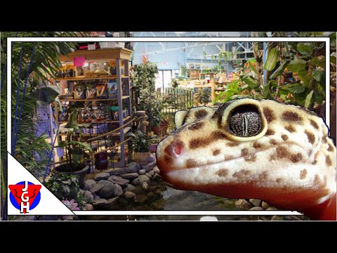 Amazing Reptile / Exotic Animal Store! - YouTube