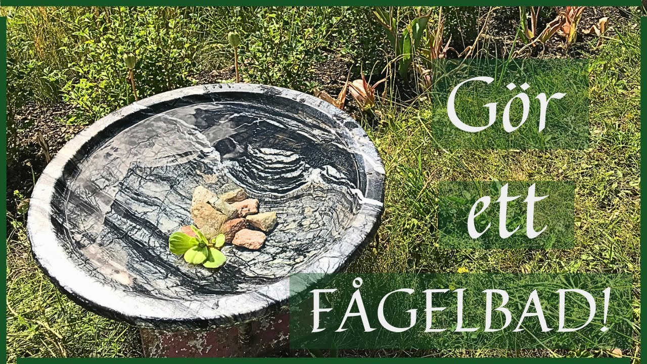 Vatten i trädgården / Fågelbad - YouTube