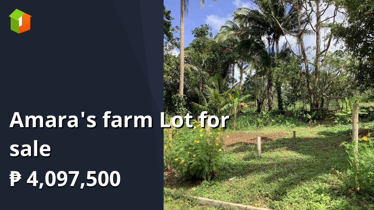 Amara's farm Lot for sale - YouTube