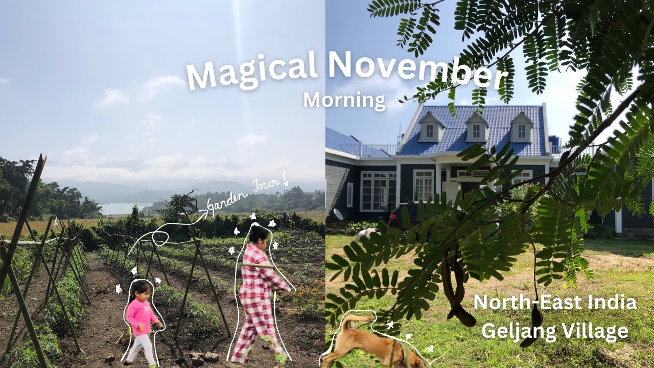 Slow November morning || GARDEN TOUR - YouTube