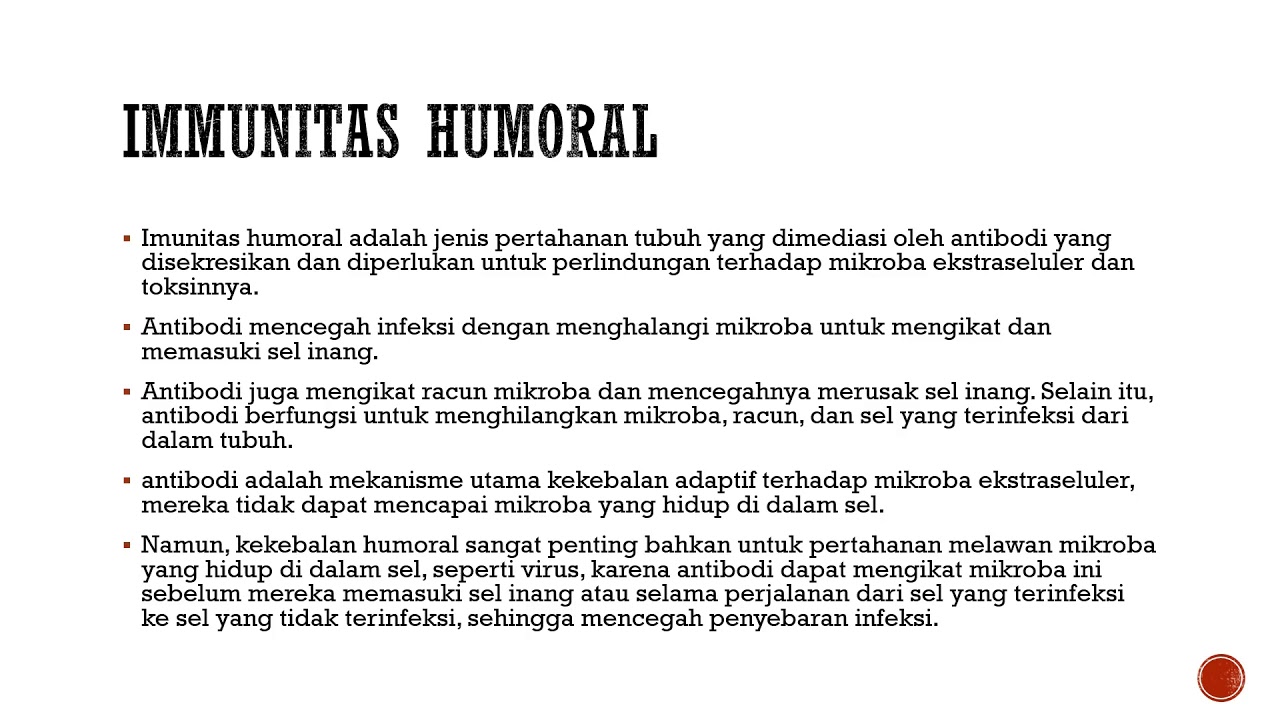 Imunitas Humoral - YouTube
