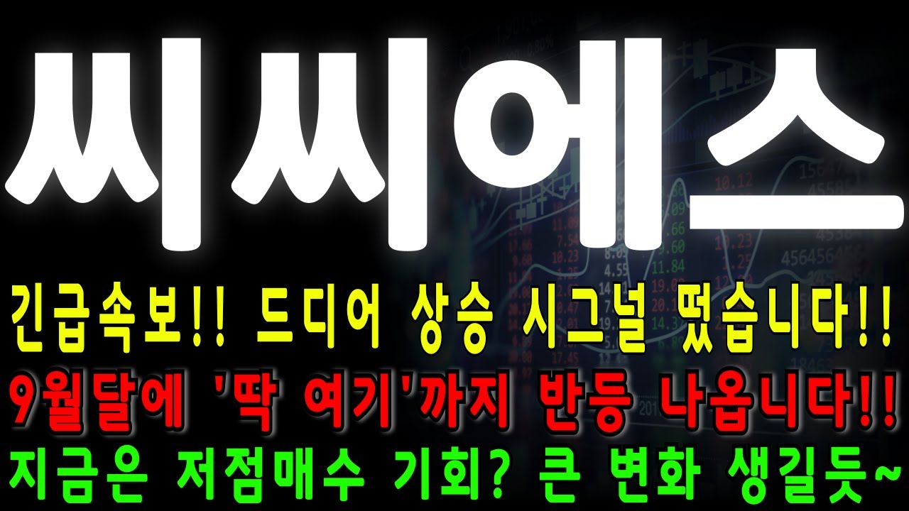씨씨에스 긴급속보 드디어 상승 시그널 떴습니다 9월달에 딱 여기까지 반등 나옵니다 지금은 저점매수 기회 큰