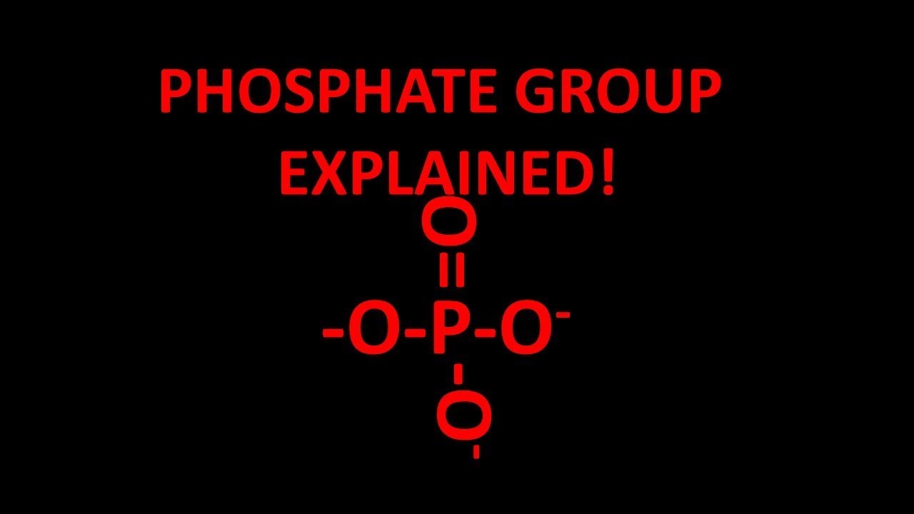 Phosphate Group Phosphate Group