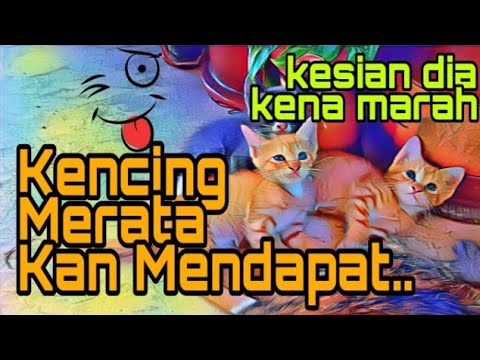 Kena Marah Kencing Merata..Kan mendapat.. - YouTube