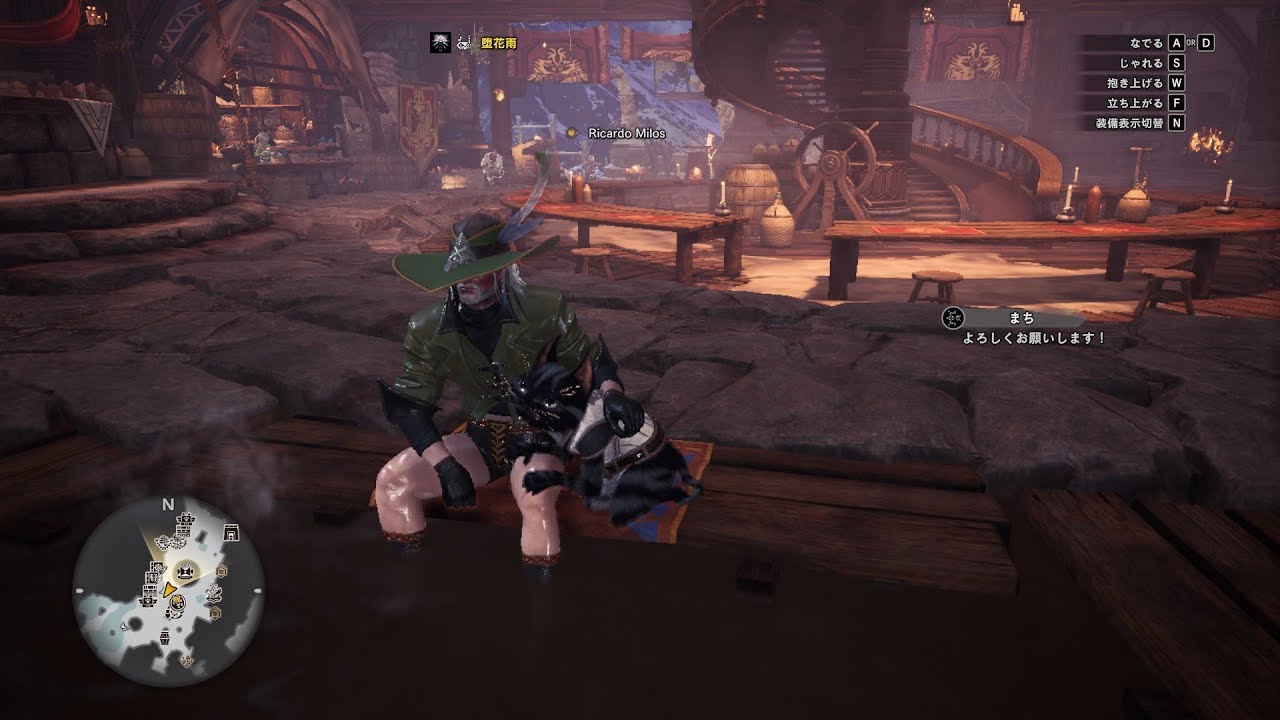 (PC) MHW:IB where my decorations at - YouTube