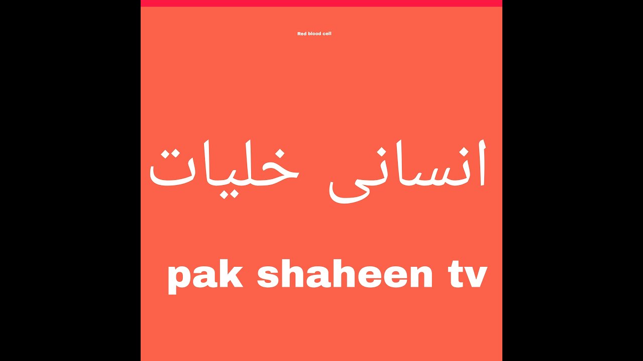 Red blood cells!insani halyat!pak shaheen tv - YouTube