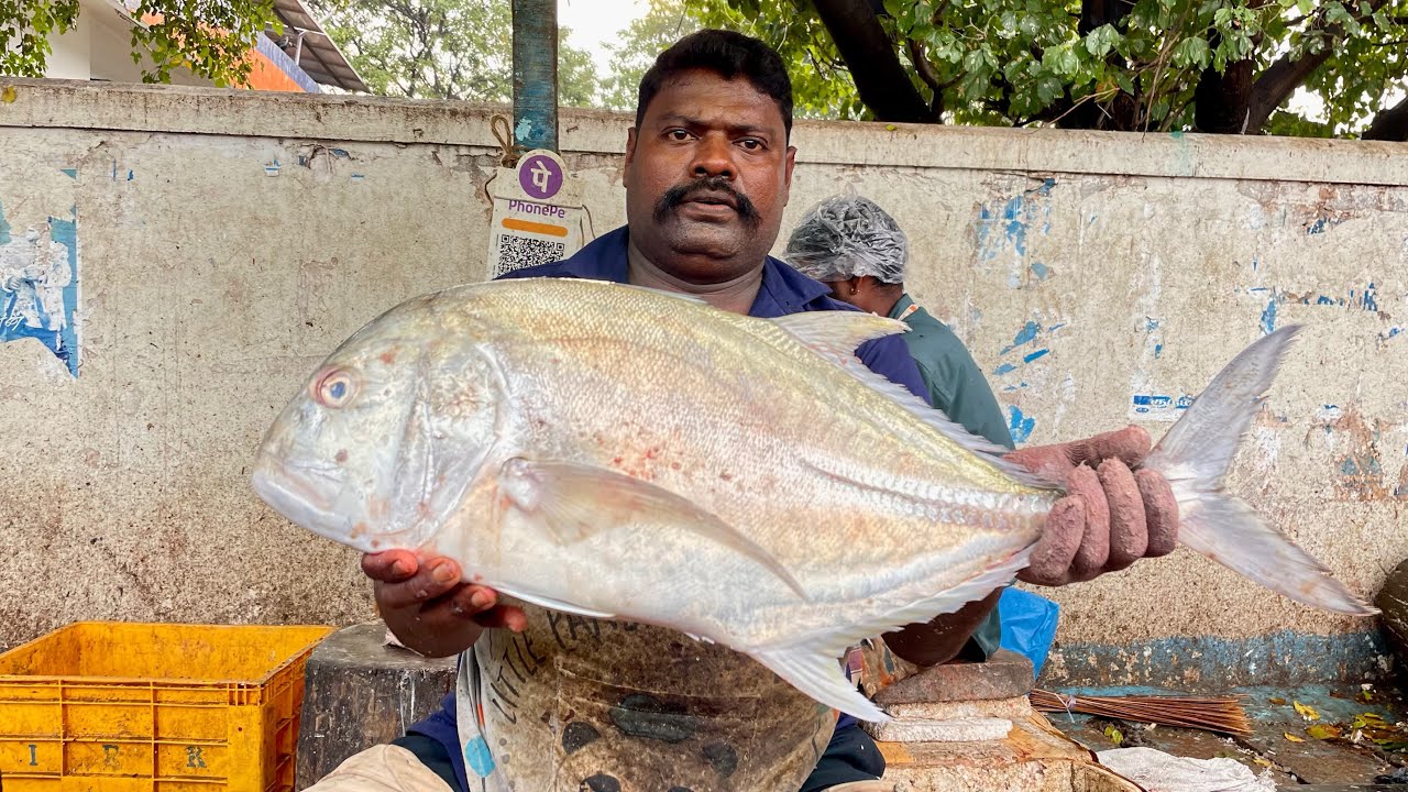 KASIMEDU SPEED SELVAM FRESH TREVALLY FISH CUTTING 💥 IN KASIMEDU FISH ...