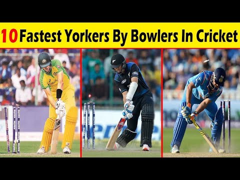 Top 10 Best Yorker By Fast Bowler In Cricket History-Random Cricket ...