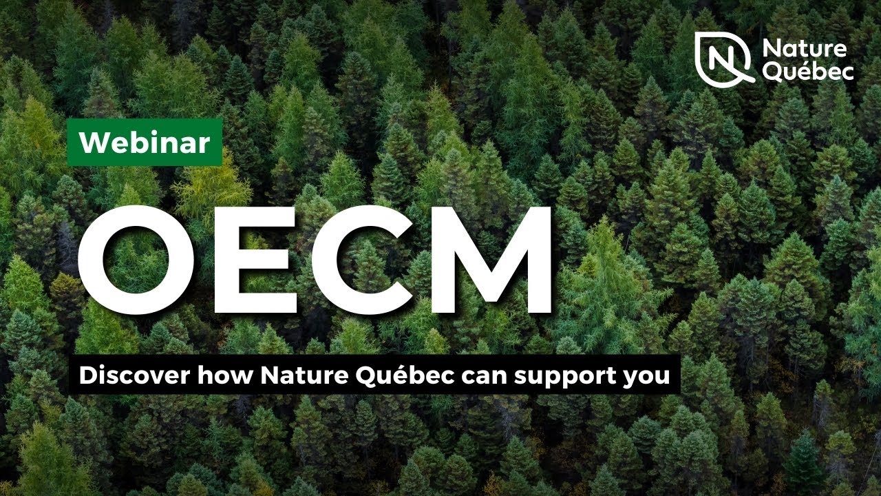 OECM - Other Effective area-based Conservation Measures - YouTube