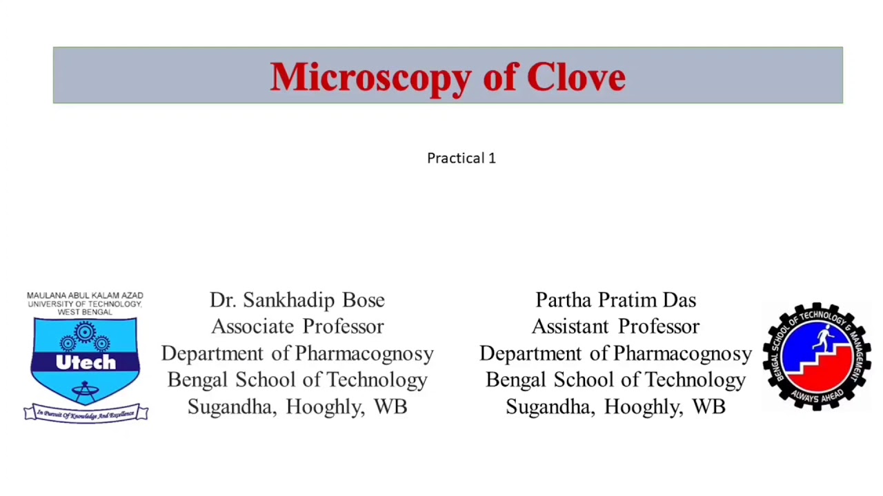 Microscopy of Clove - YouTube