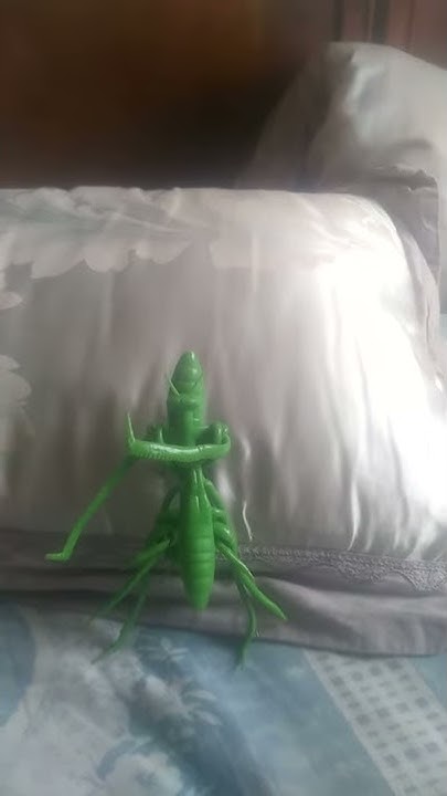 Цөгөрцөгний күнфү богино хэмжээний хүүхэлдэйн кино Youtube