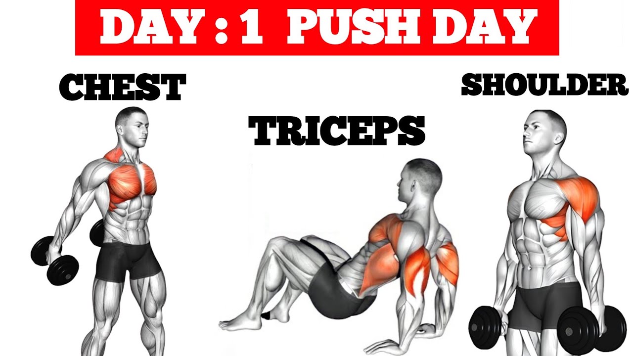 Day : 1 Push Day Including Chest,Triceps and Shoulder Workout - YouTube