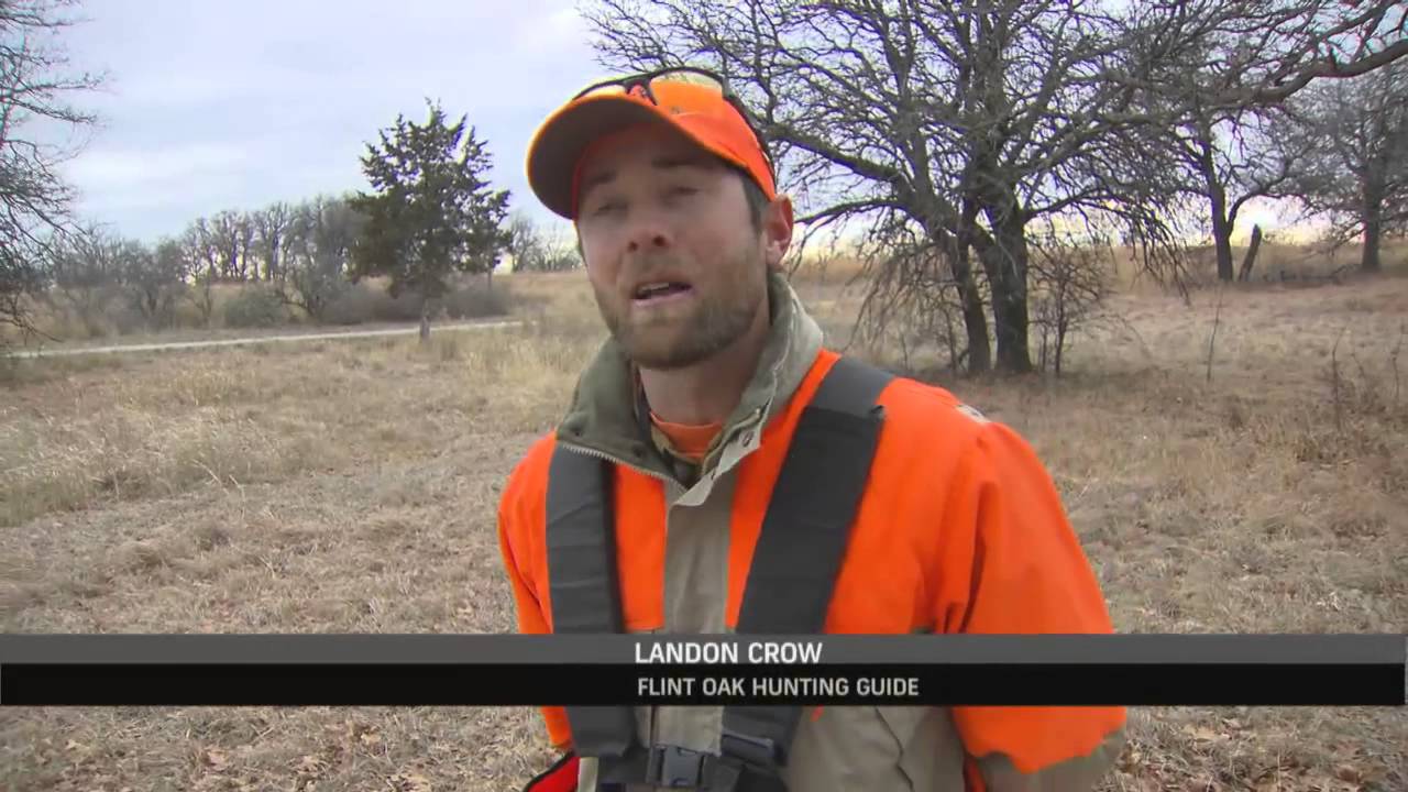 Americana Outdoors 2013- Upland Bird Hunting - YouTube