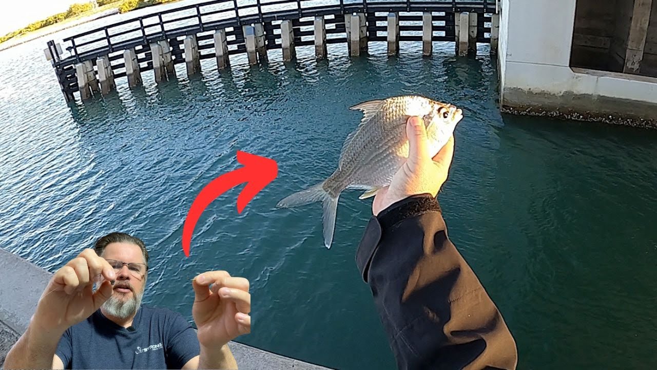 #1 Rig For Beginner Anglers New To Saltwater Fishing - YouTube