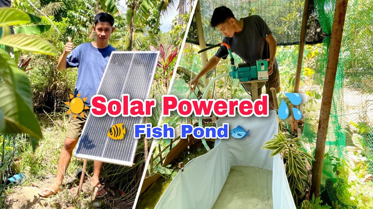 Solar Powered Mini Fish Pond TRAPOND sa Bundok Not-Stop Water Flow ...