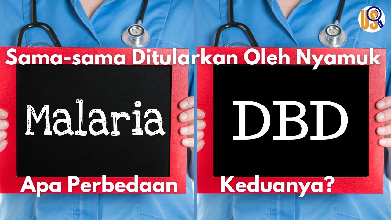 Penyakit Malaria Ditularkan Oleh Nyamuk - Perumperindo.co.id