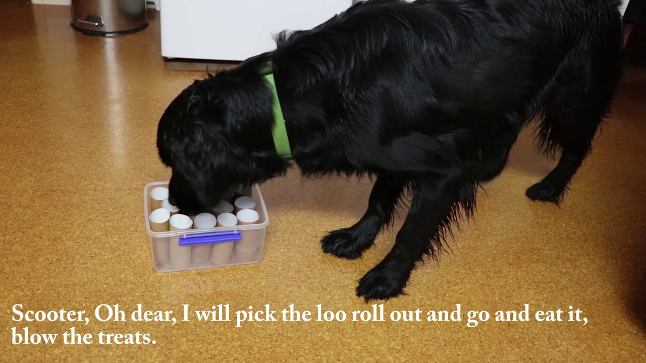 Toilet Roll Test - YouTube