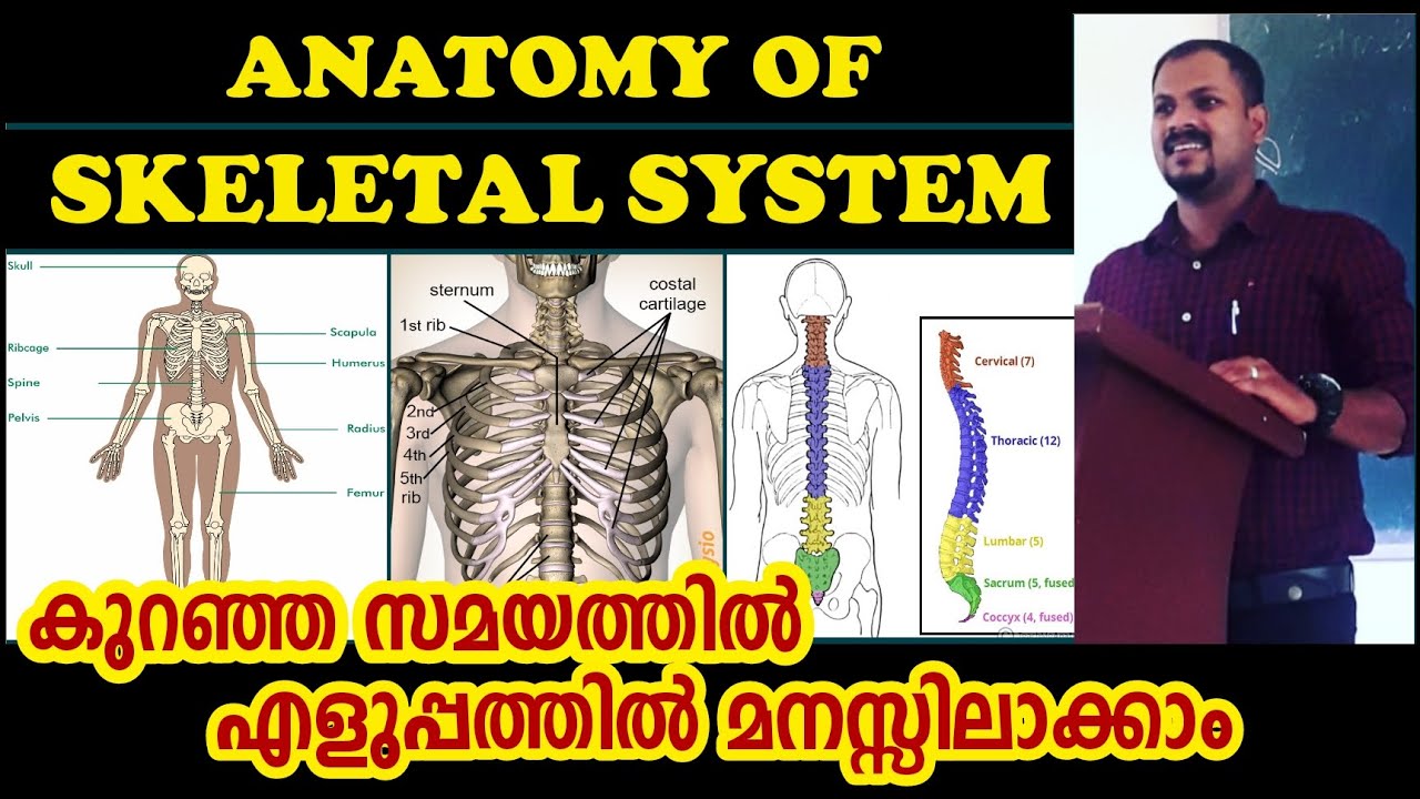 Anatomy of Skeletal System in Malayalam| Physical Education class by ...