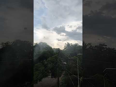 Gloomy Wednesday! Thank you all ️ - YouTube