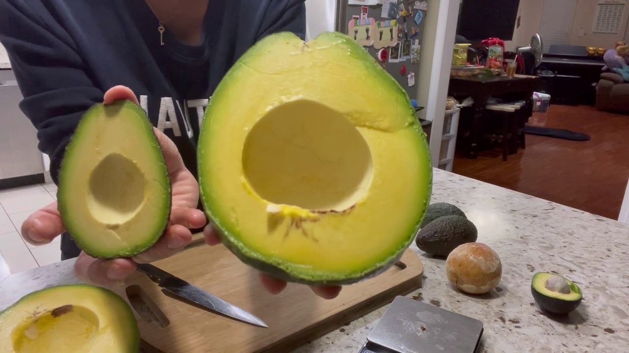 Marcus Pumpkin Avocado Tasting. 3 Pound Fruit! - YouTube