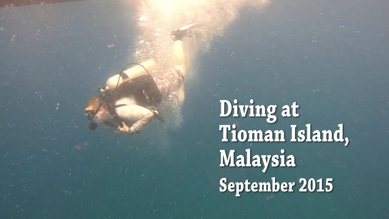 Diving at Pulau Tioman, Sept 2015 - YouTube
