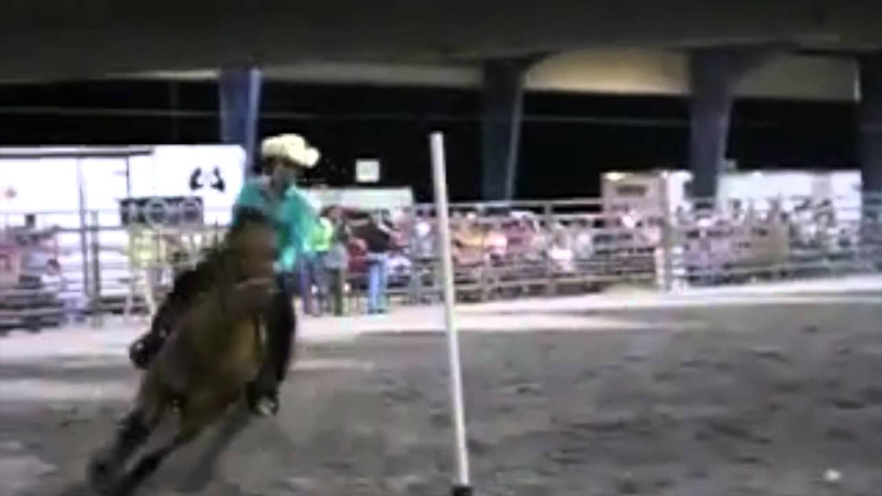 Pro Rodeo Barrel Horse For Sale - YouTube